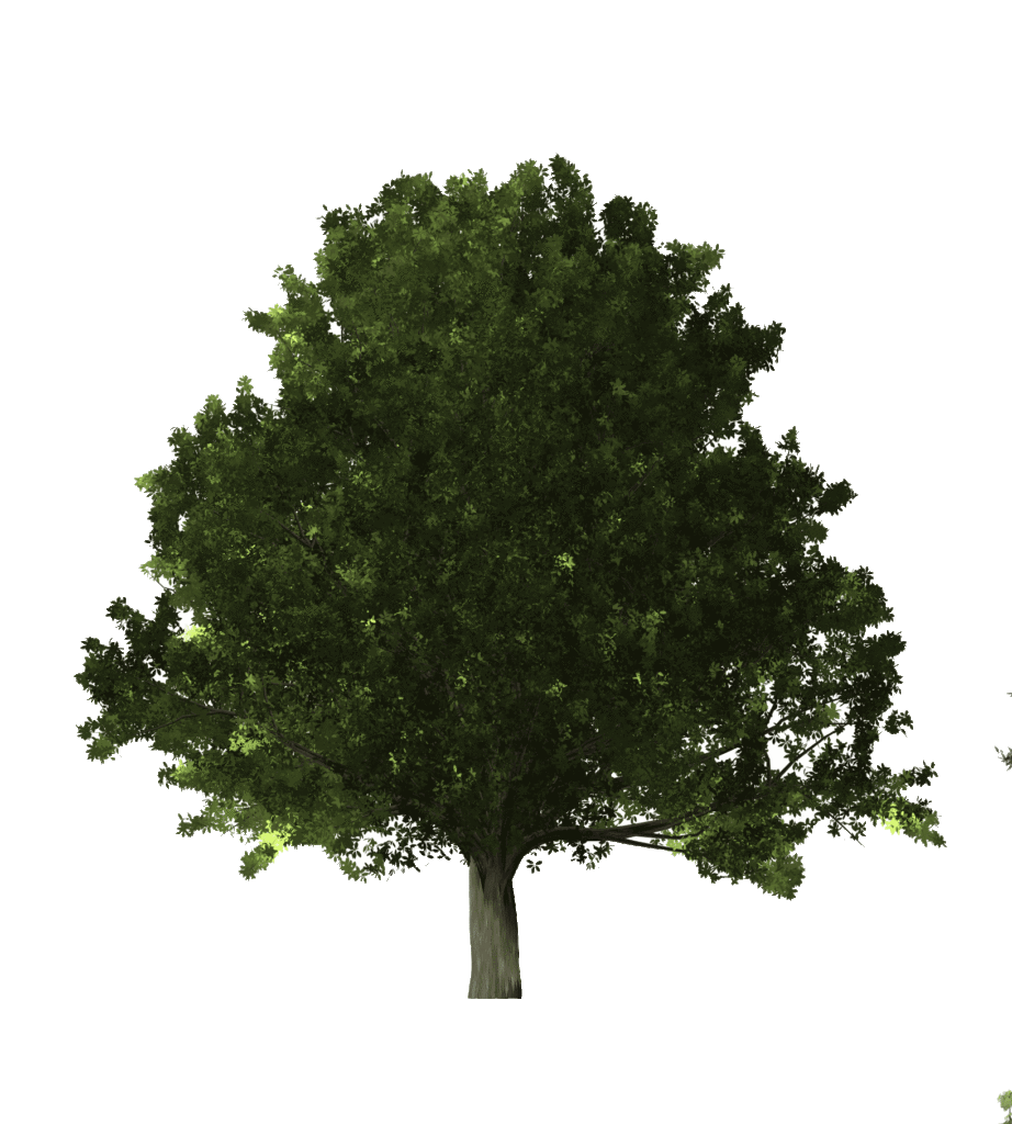 How to use Neem Oil - Plantopia - Indoor Plant Service